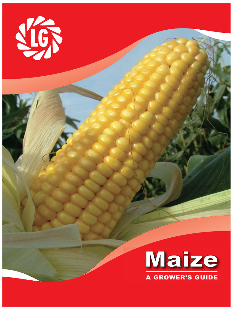 Forage Maize Technical Guide 2011 | PDF | Maize | Manure