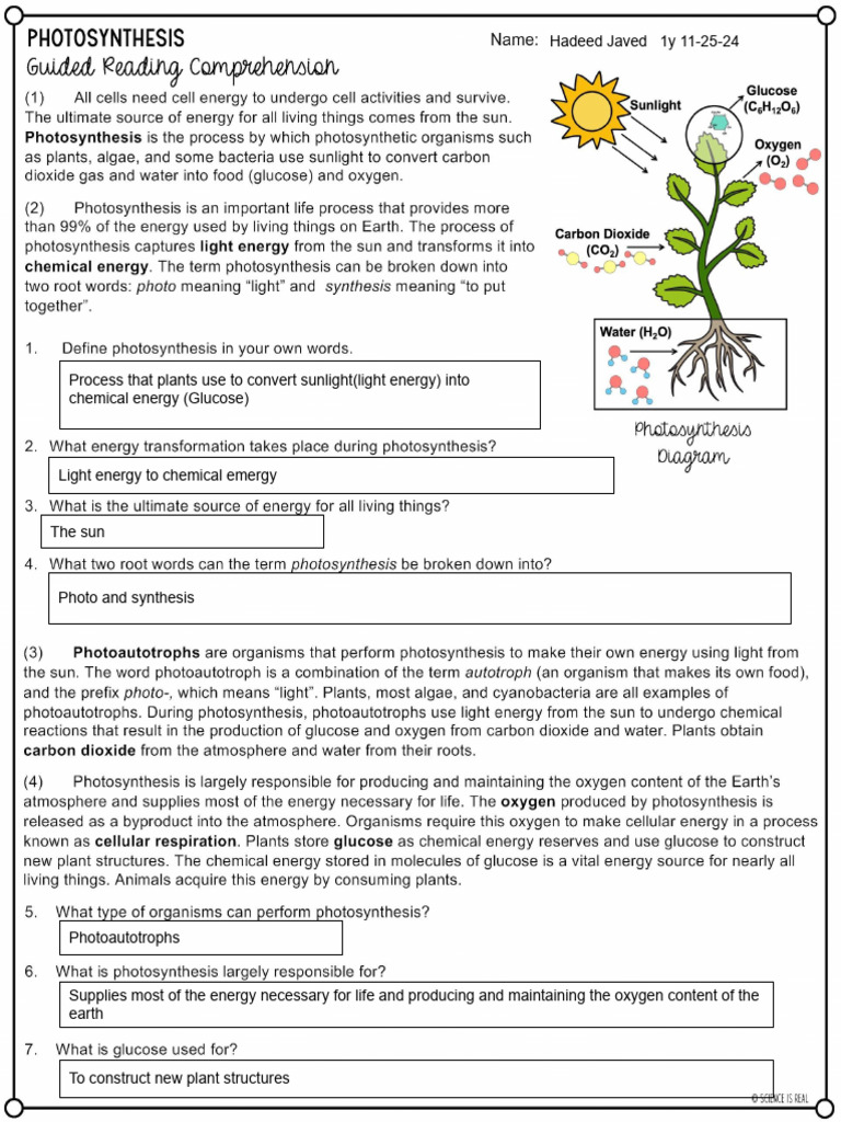 Copy of Photosynthesis Reading Comprehension Activity (1) (2) | PDF ...