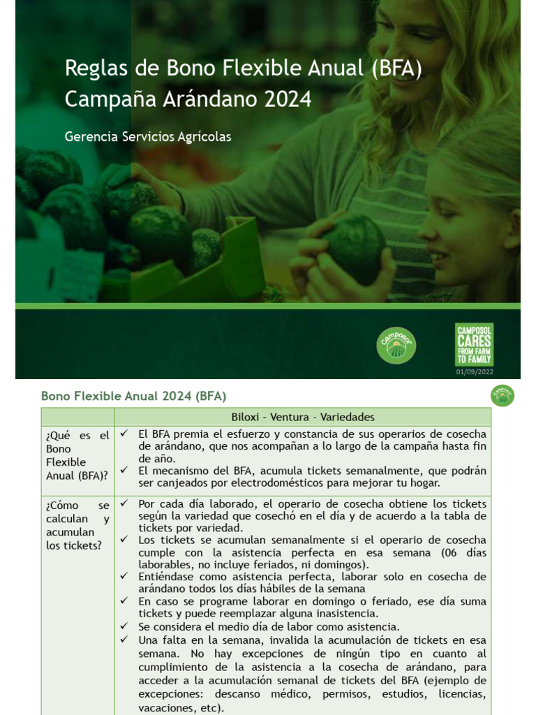 Reglas del Bono Flexible Anual 2024 | PDF