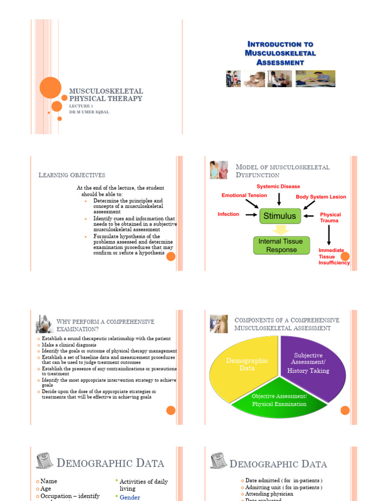 Musculoskeletal Assessment Basics | PDF | Vertebral Column | Vertebra
