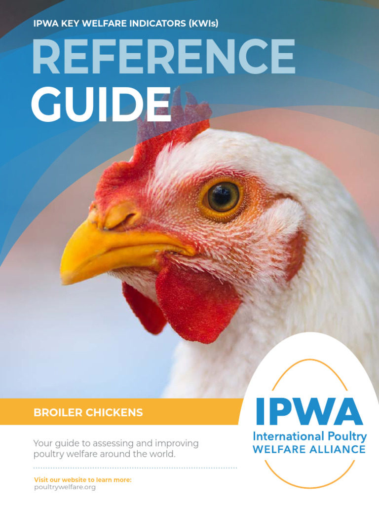 IPWA Broiler Chickens Guide V13 | PDF | Poultry Farming | Air Pollution