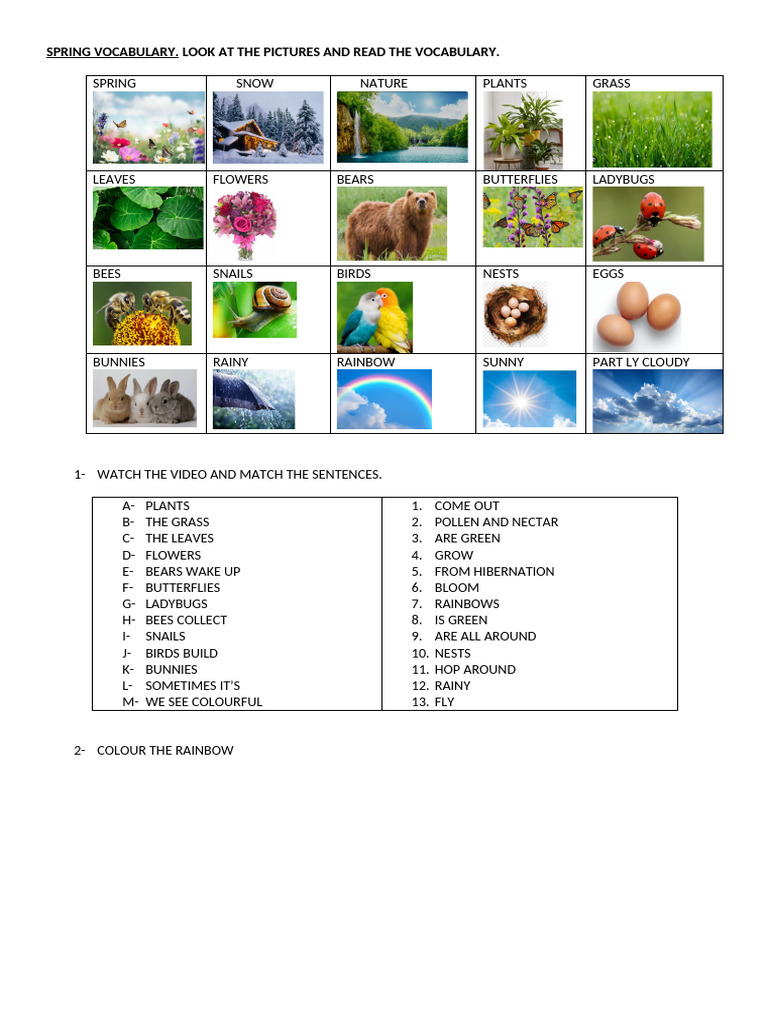 Spring Vocabulary and Activities Guide | PDF