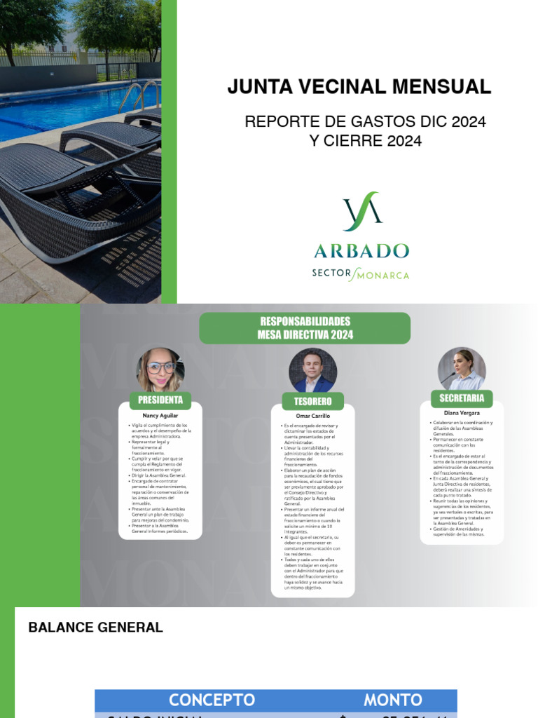 300125 Junta Mensual Vecinal | PDF