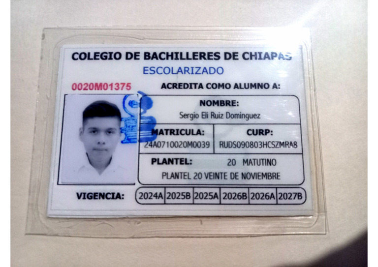 Credencial de La Prepa | PDF
