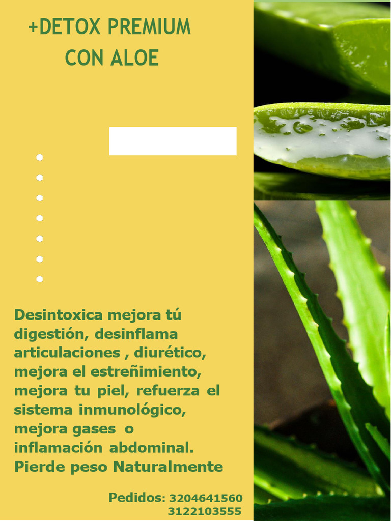 +detox Premium | PDF