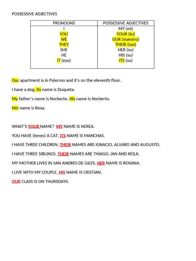 Understanding Possessive Adjectives and Pronouns | PDF