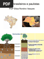 Características dos Vertissolos no Brasil | PDF | Solo | Clima temperado