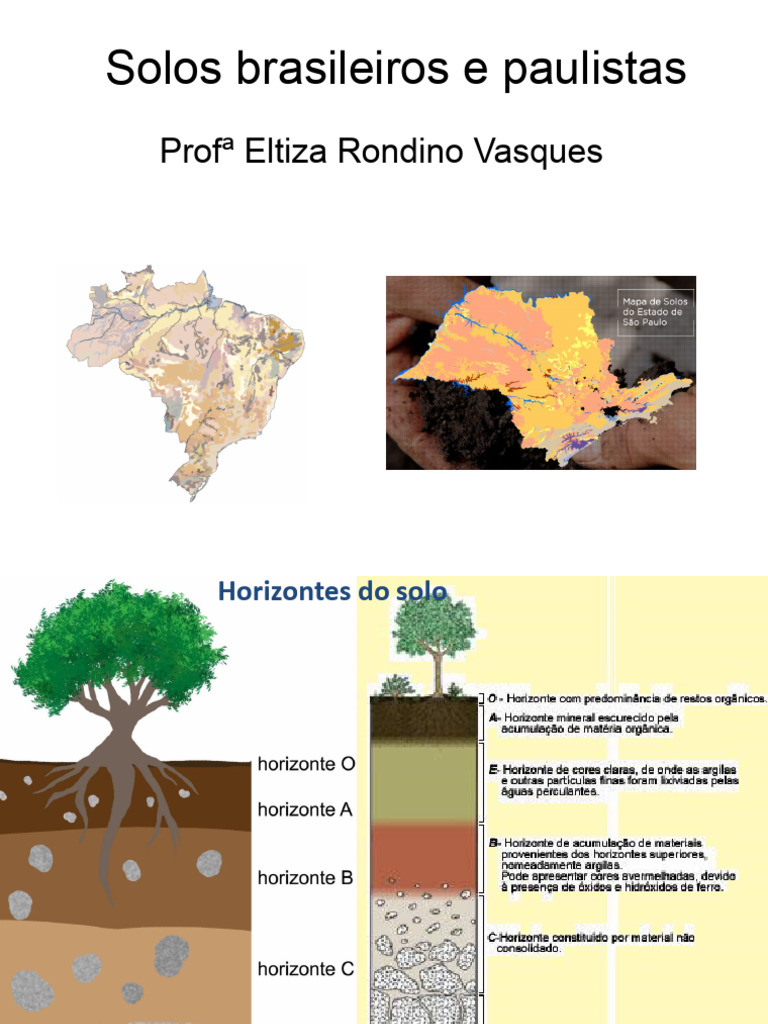 Características dos Solos Brasileiros | PDF | Solo | Erosão