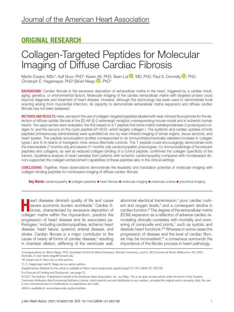 Collagen Targeted Peptides 3 | PDF | Heart | Cardiac Muscle
