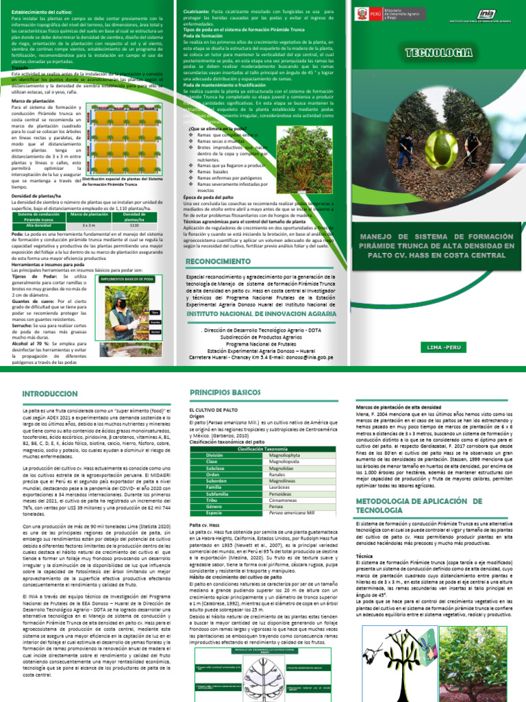 CP_164476 | PDF | Aguacate | Agricultura