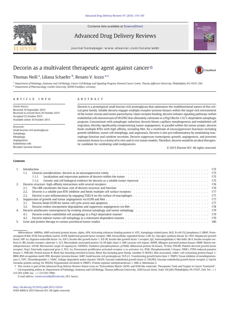 Decorin As A Multivalent 1 | PDF | Epidermal Growth Factor Receptor ...