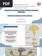 Deterioro Rostrocaudal: Etiología | PDF | Medicina | Sistema nervioso