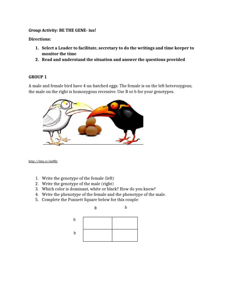 Group Activity mENDELIAN GENETICS | PDF | Dominance (Genetics) | Genotype