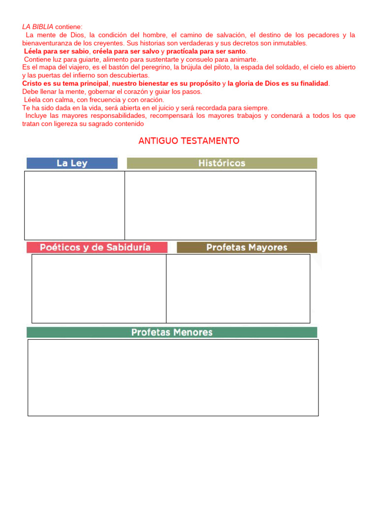 Estructura y Contenido de la Biblia | PDF | Biblia | Nuevo Testamento