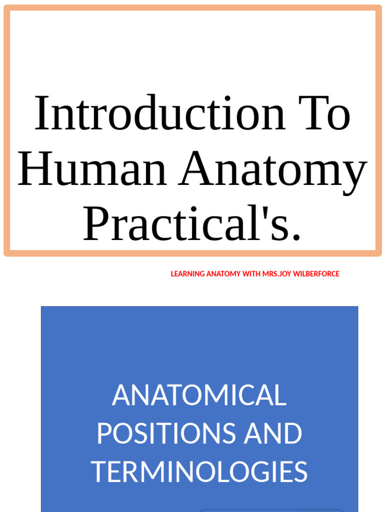 anatomical positions and terminologies - Copy (3) | PDF | Anatomical ...