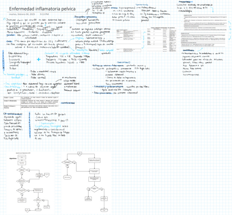 EIP. Hernández Ponce Sara | PDF