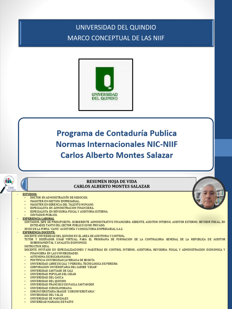 Experto en NIIF y Auditoría Financiera | PDF | normas internacionales ...