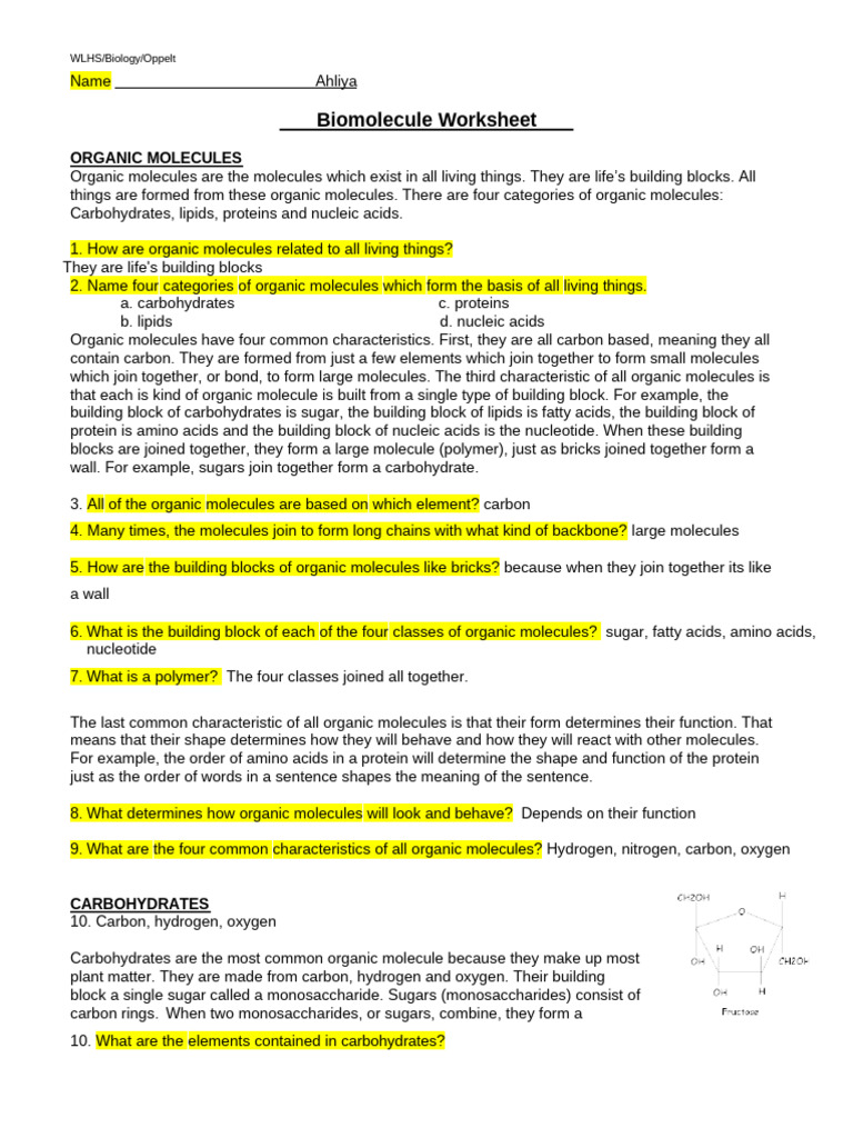 Building Blocks of Organic Molecules | PDF | Carbohydrates | Dna