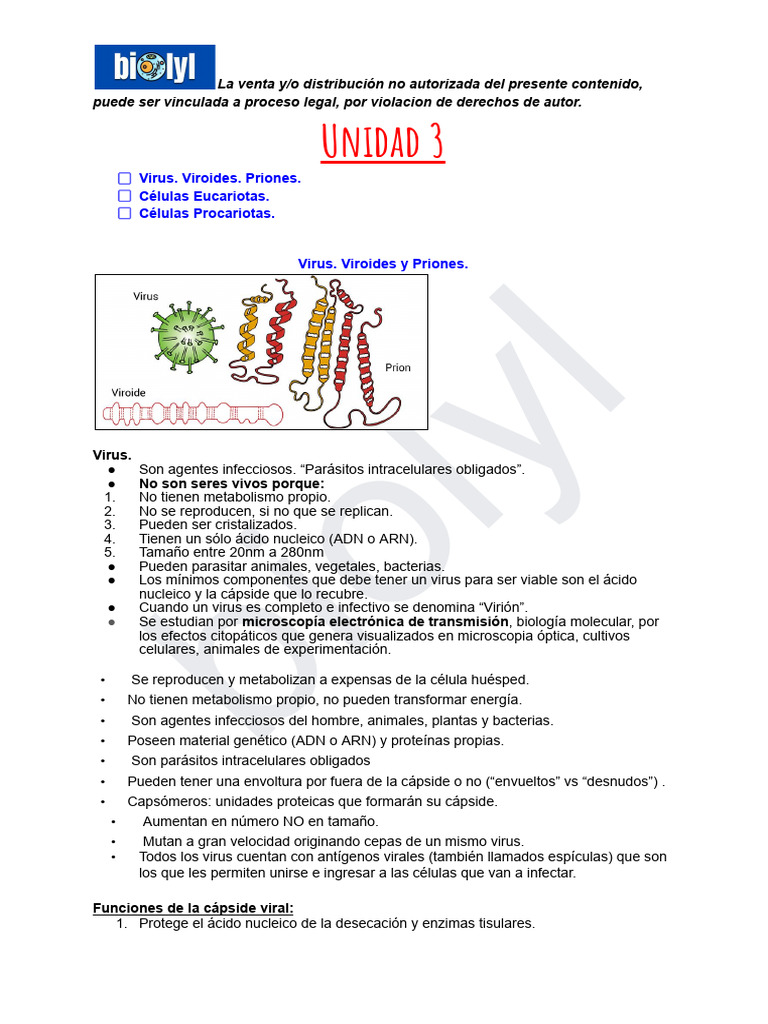 Virus, Viroides y Priones: Características y Estructura | PDF | Virus ...