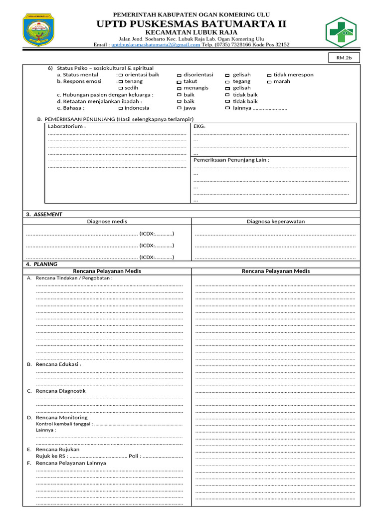 Formulir Pengkajian Pasien | PDF