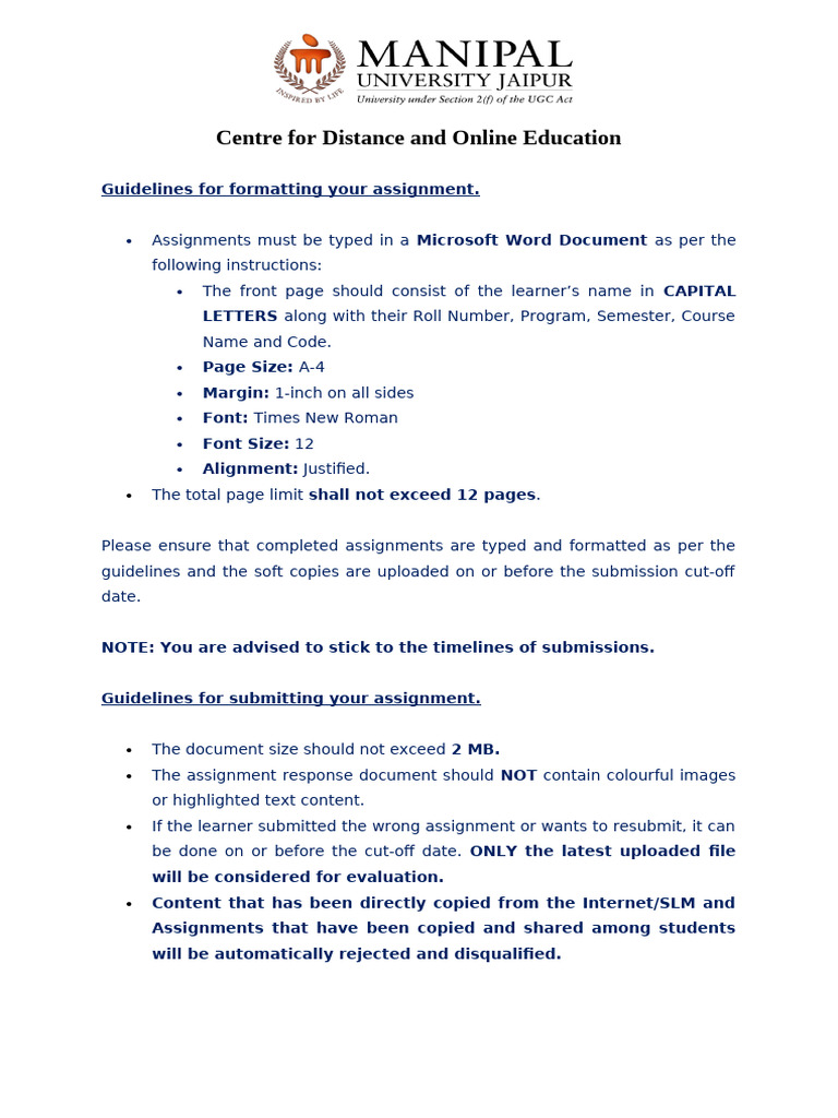 BBA Assignment Formatting Guidelines | PDF | Computing