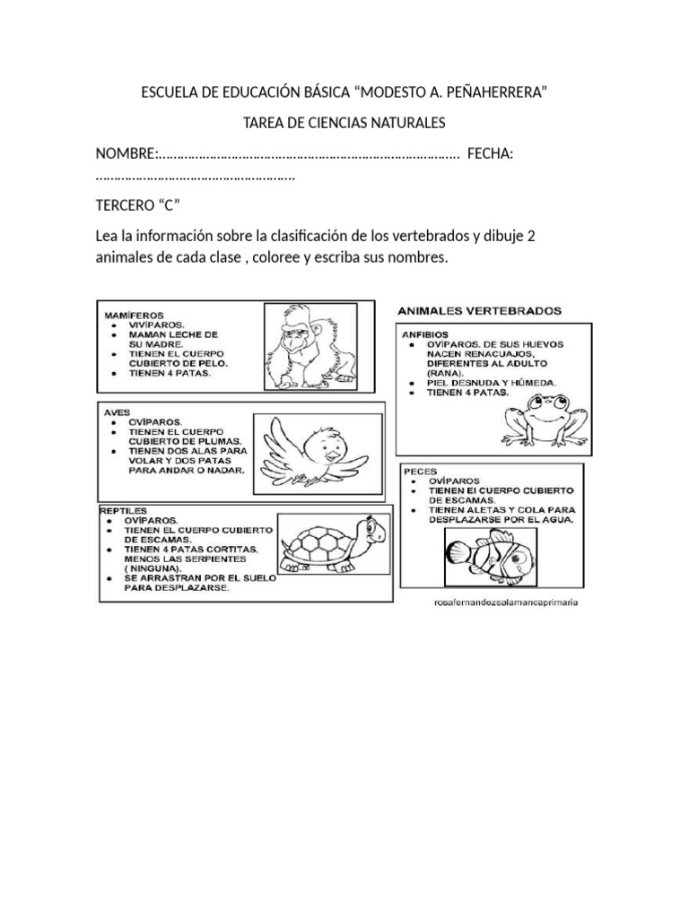 Tareas para Lunes 10 de Febrero | PDF