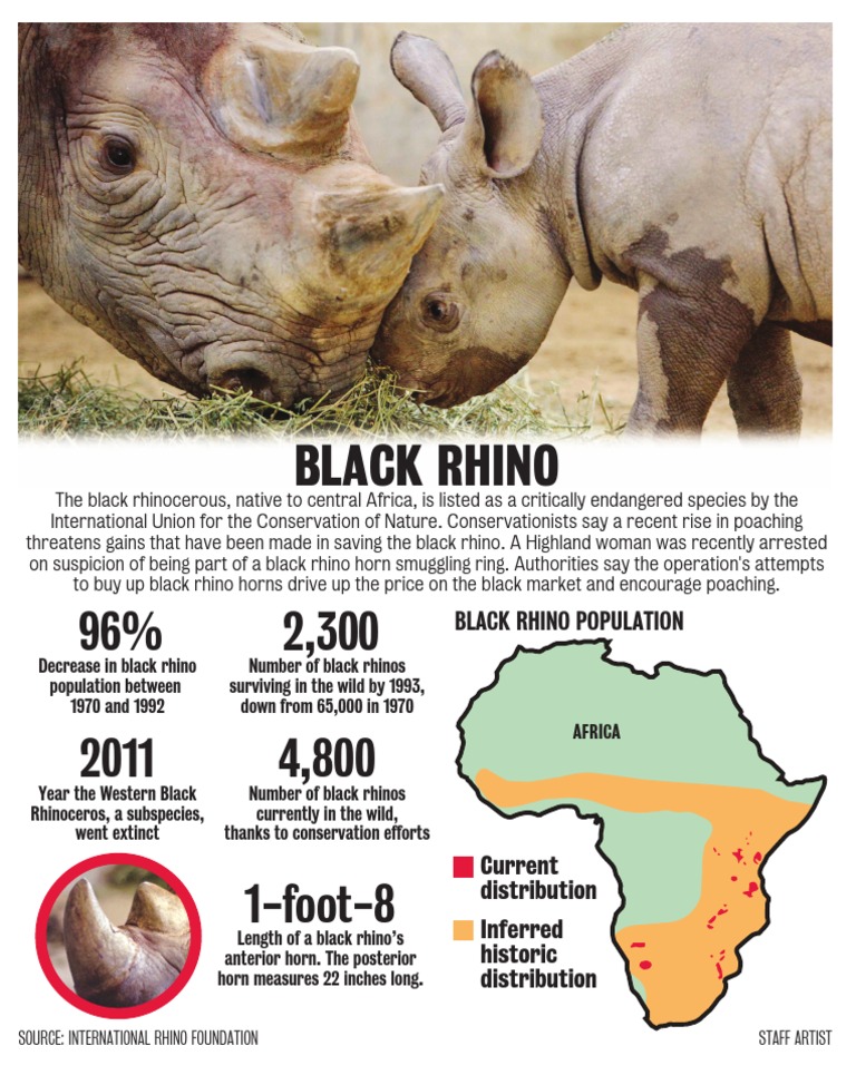 Black Rhino Habitat