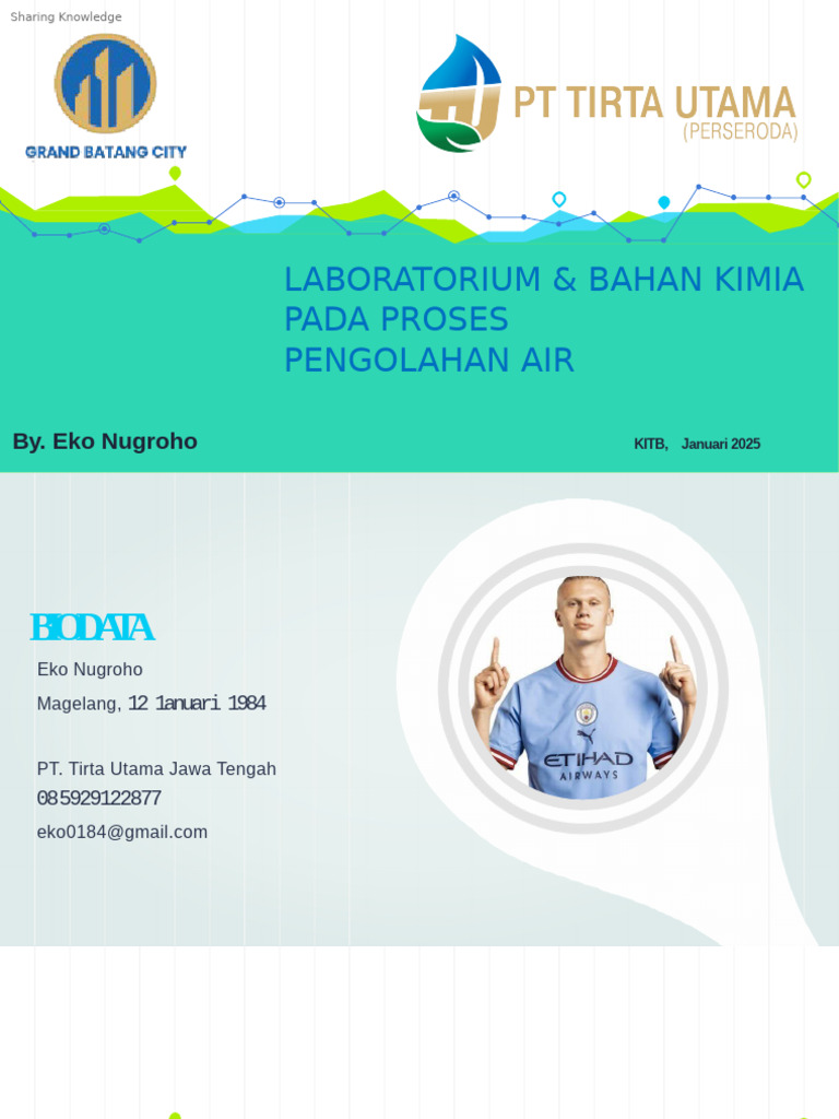 Lab & Bahan Kimia Dalam Pengolahan Air | PDF