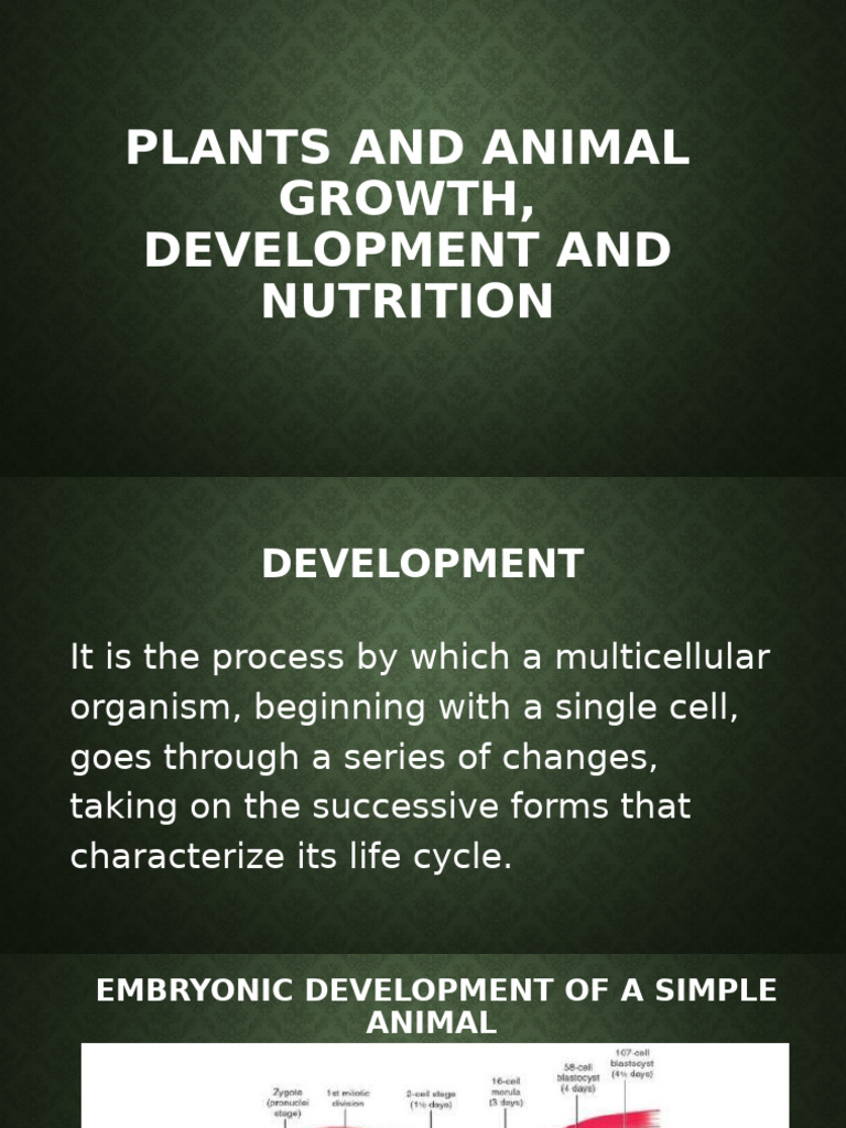 Plants and Animal Growth, Development and Nutrition | PDF | Embryo ...