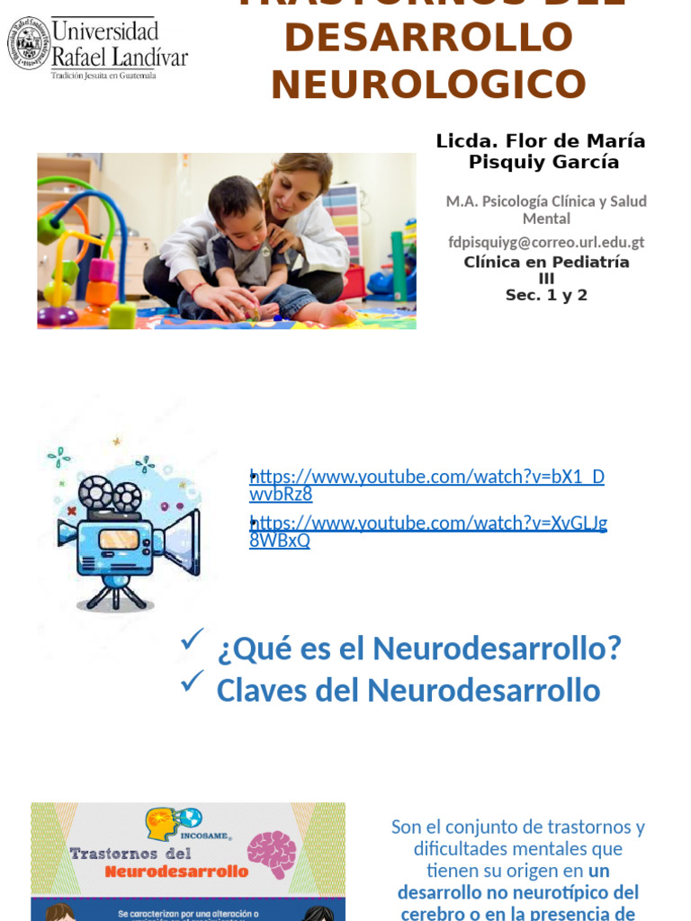 Trastornos del Neurodesarrollo | PDF
