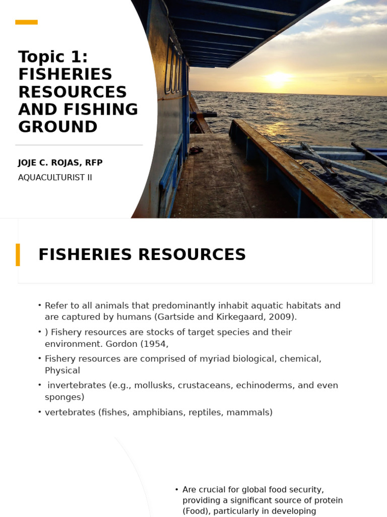 Major Fishing Grounds in the Philippines | PDF | Invertebrate | Governance