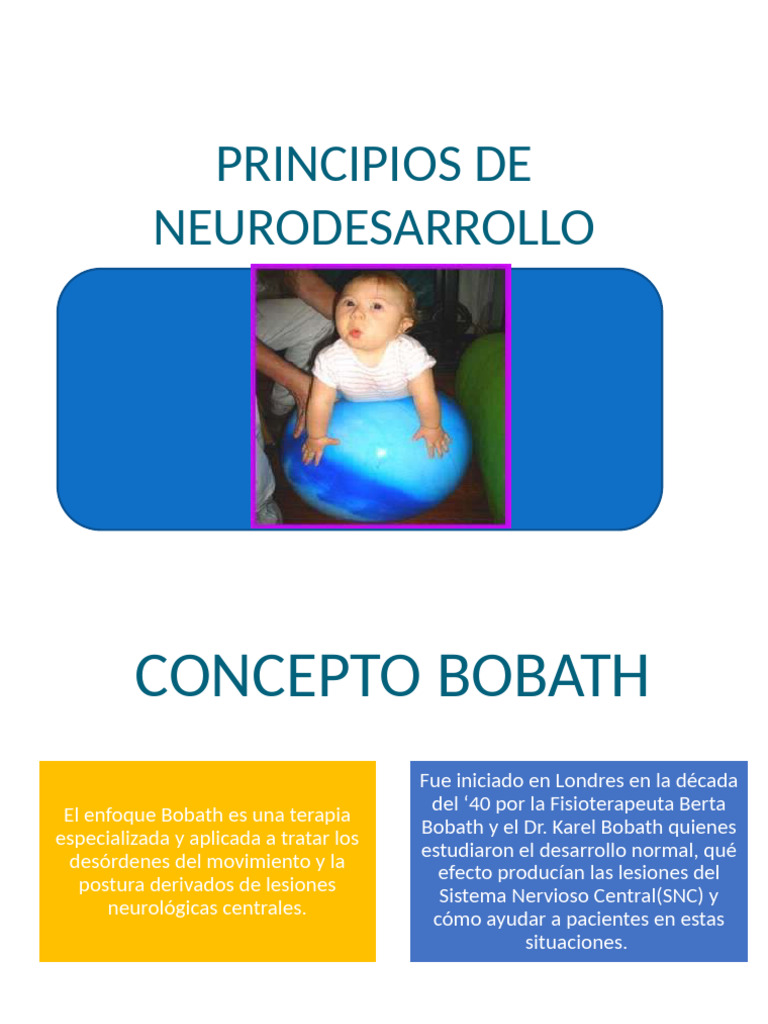 Terapia Bobath: Neurodesarrollo y Rehabilitación | PDF | Neurociencia ...