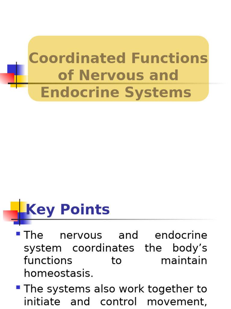 Coordinated Functions of Nervous and Endocrine | PDF