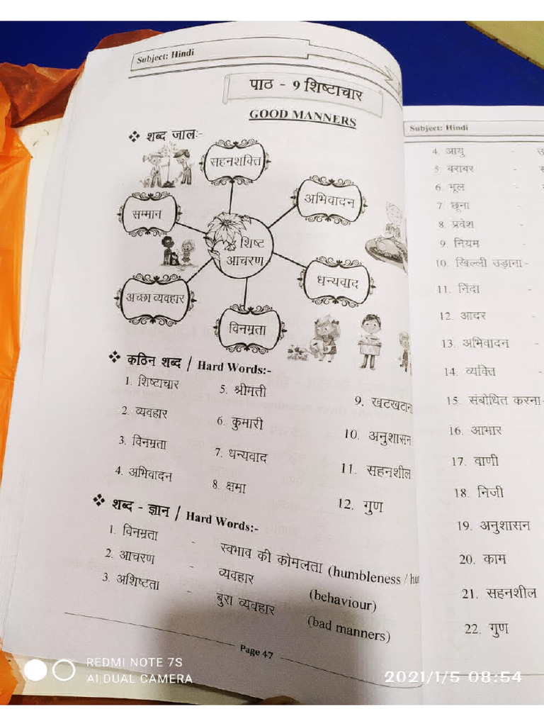Hindi 5th Class 9 TH Lesson | PDF