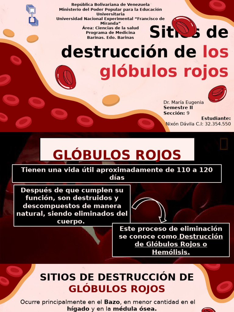Sitios de Destrucción de Glóbulos Rojos | PDF | Glóbulo rojo | Sangre