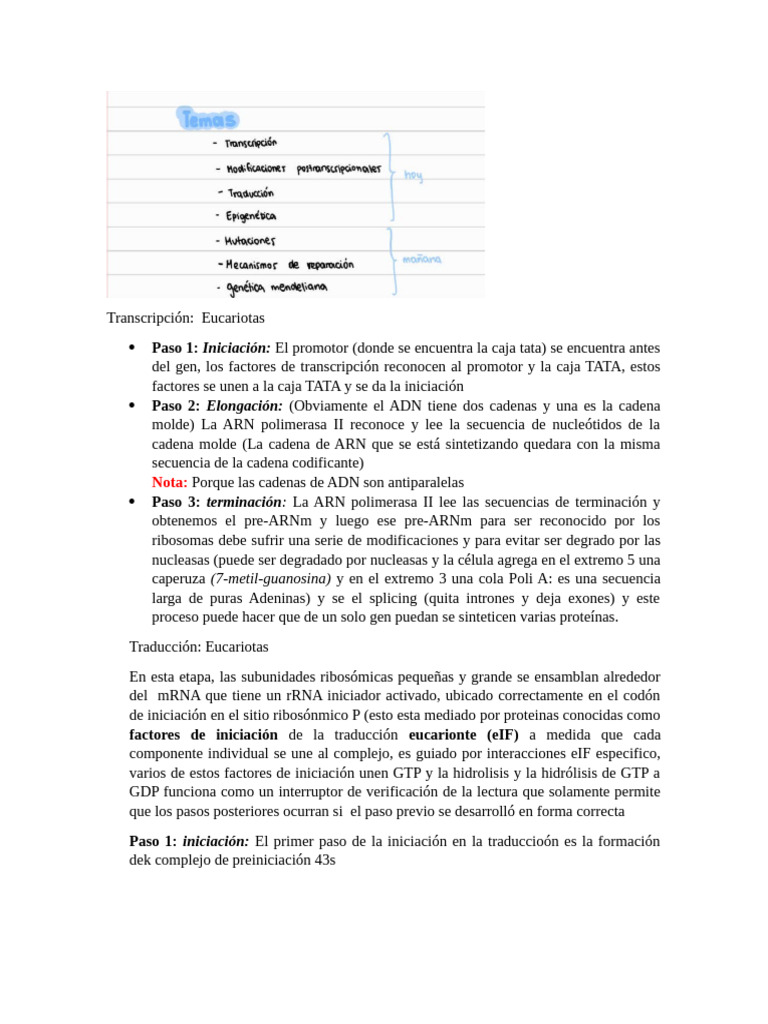 Traducción y Transcripción | PDF | Rna | Messenger Rna