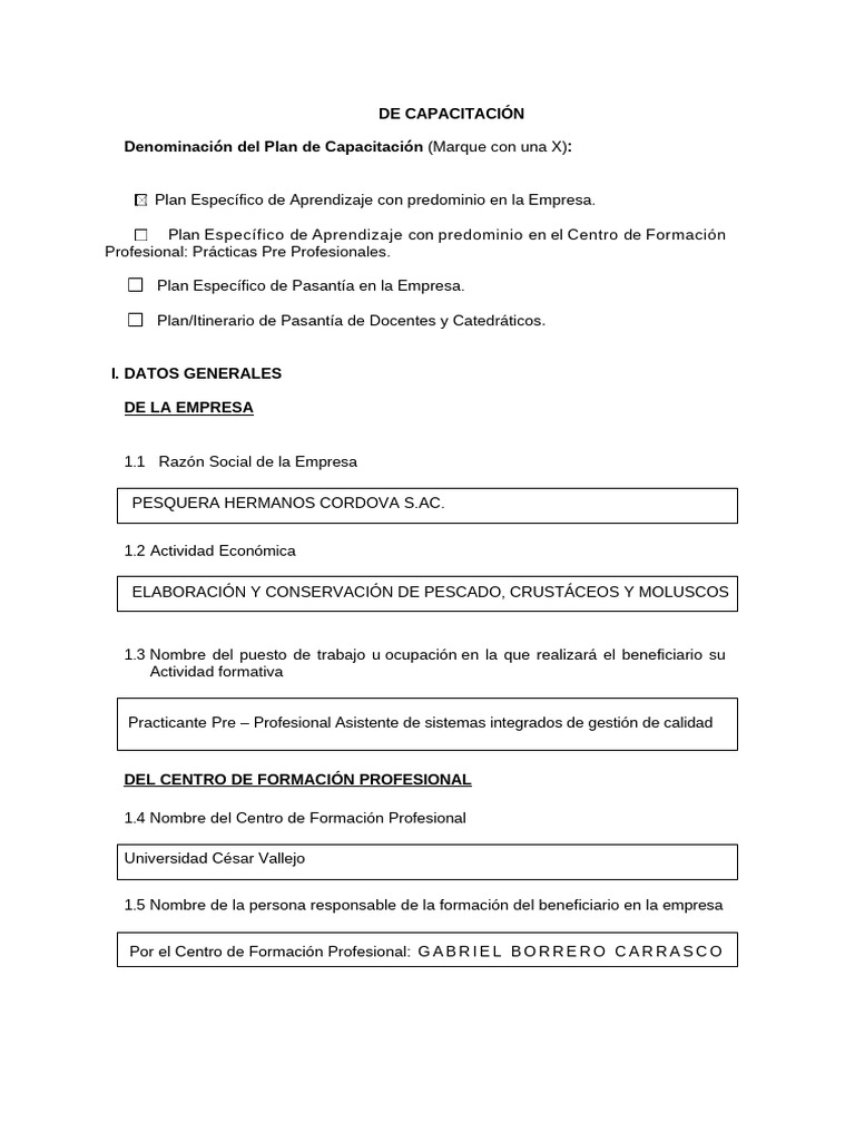 Plan de Capacitación (Formato Pare Ser Completado Por El Estudiante 15.11 | PDF | Calidad ...