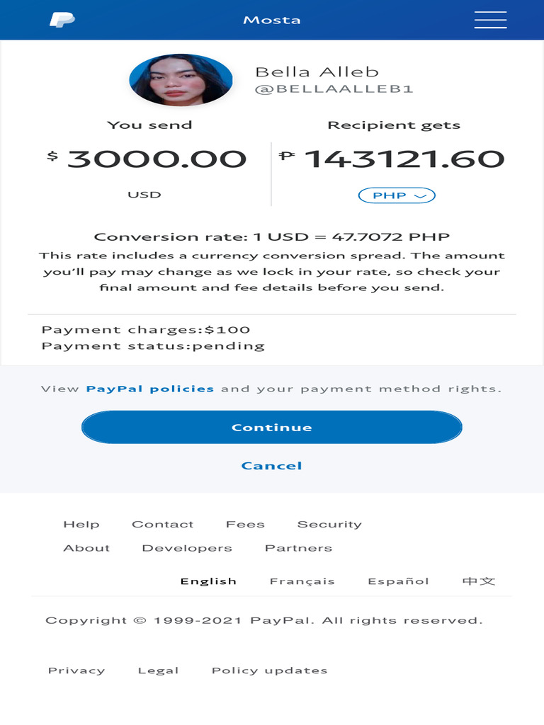PayPal Send Money Preview | PDF
