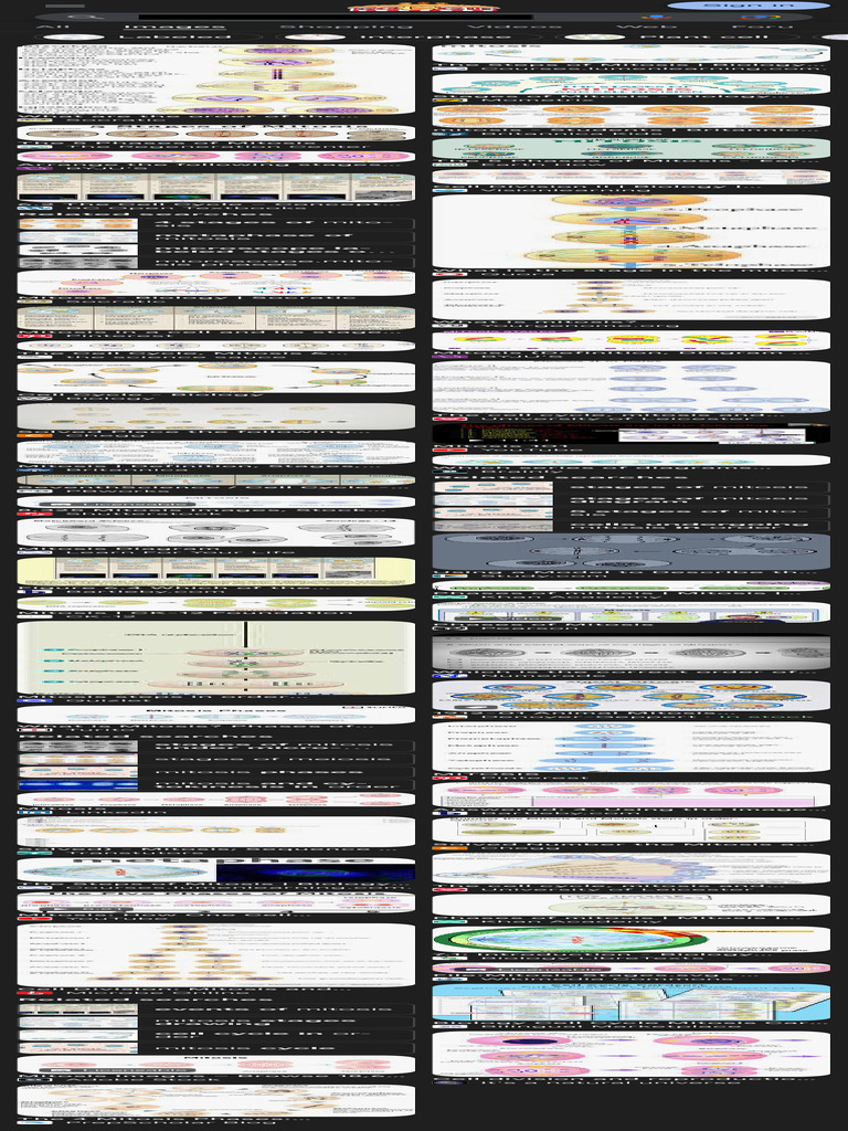 Order of Mitosis Phases | PDF | Mitosis | Meiosis