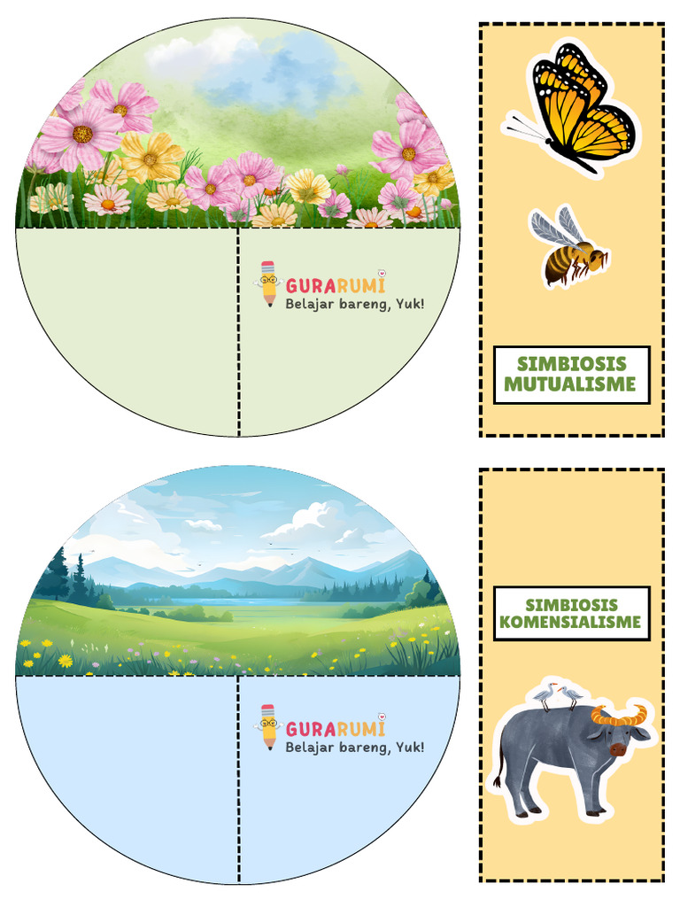 IPAS - Gurarumi - POP UP Simbiosis | PDF