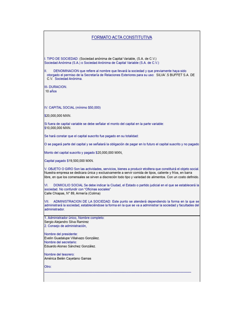 ACTA CONSTITUTIVA | PDF