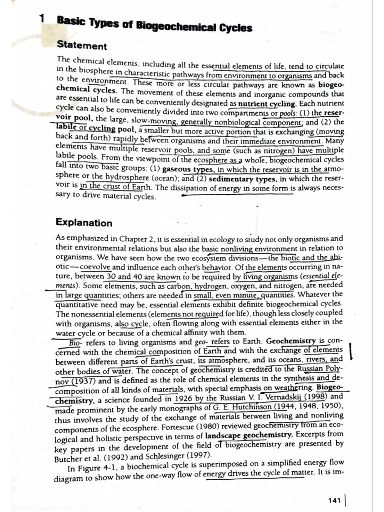 Biogeochemical Cycles | PDF