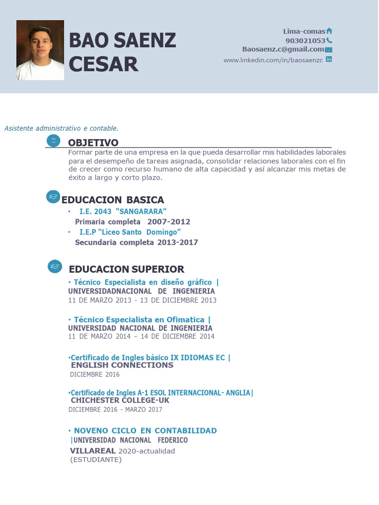 Cv-Cesar Bao Saenz | PDF