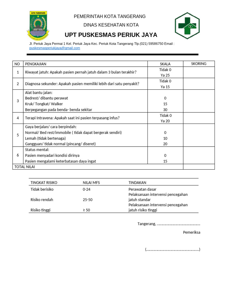 Morse Falls Scale | PDF