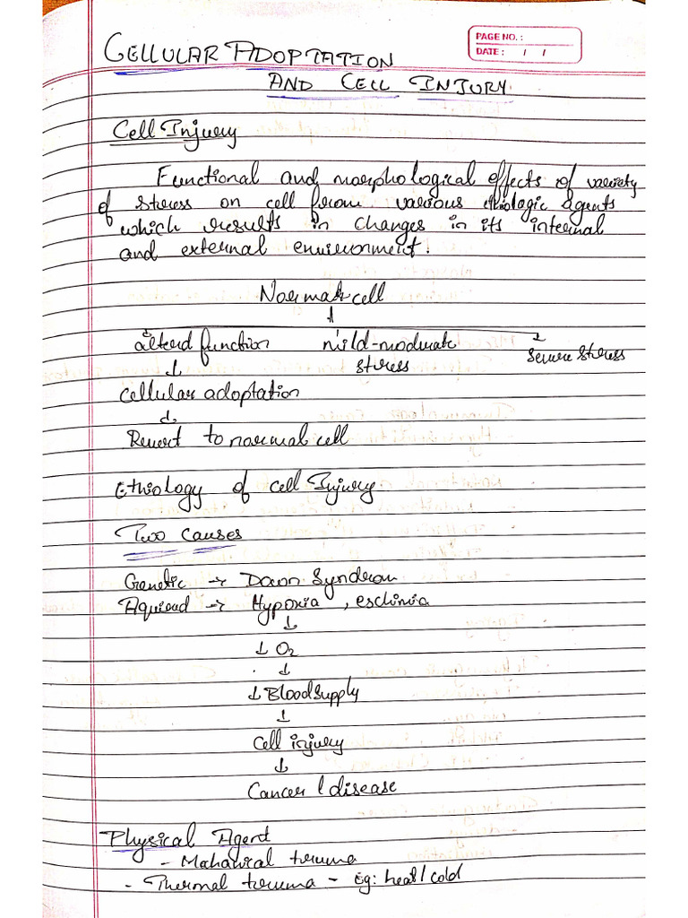 Cell Adaptation | PDF