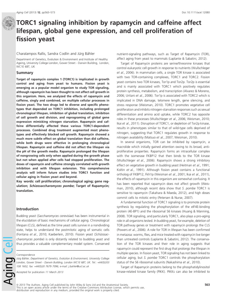 TORC1 Signaling Inhibition by Rapamycin and Caffeine Affect Lifespan ...