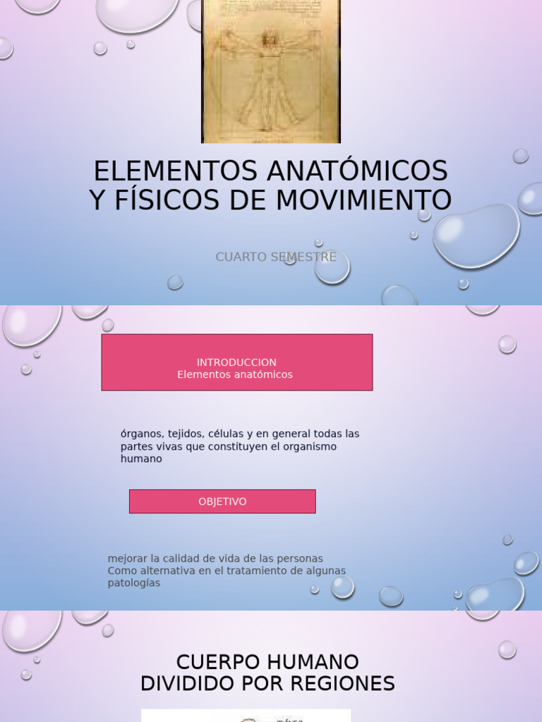 Elementos Anatomicos y Fisicos de Movimiento | PDF | Pie | Tobillo