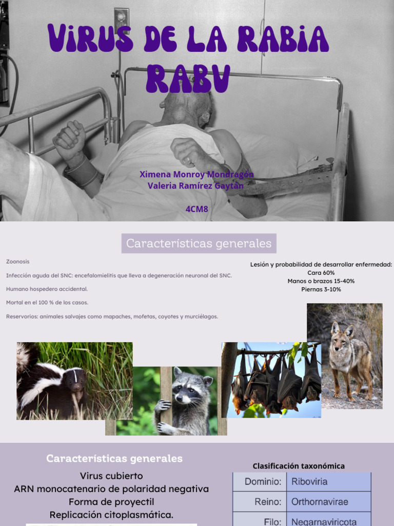 Rabia. Microbiología | PDF | Rabia | Virus