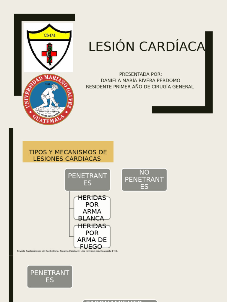 Lesion Cardiaca Final | PDF | Corazón | Cardiología