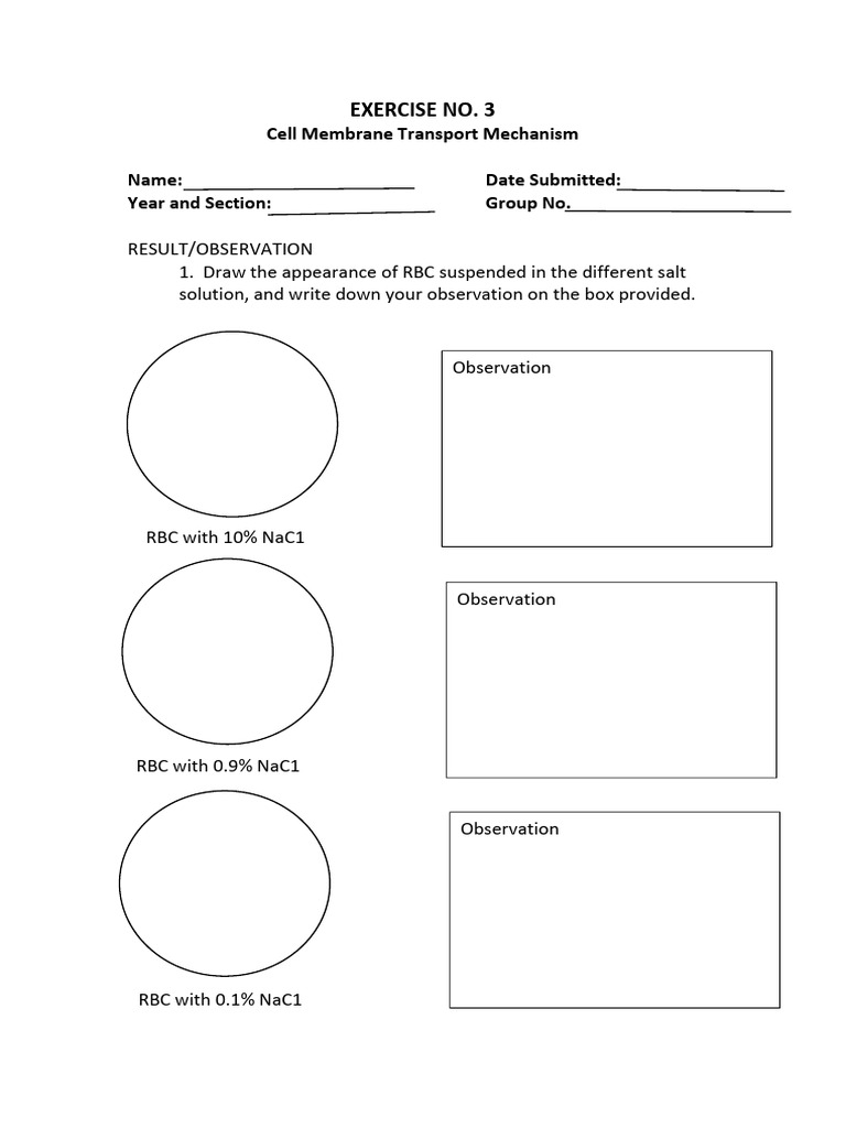 Exercise No.3 Lec | PDF